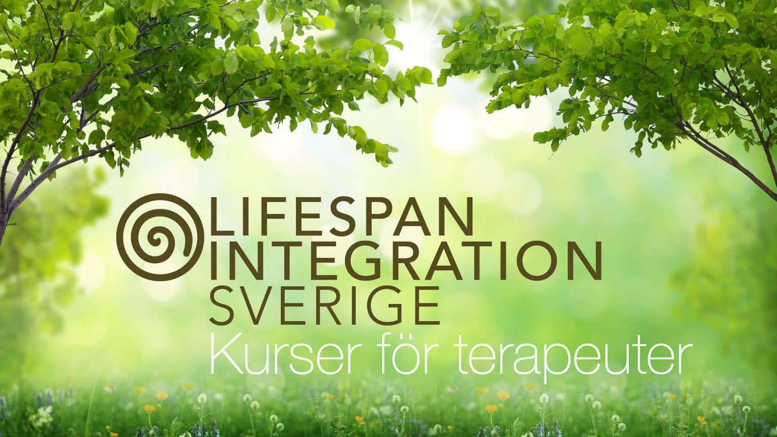 LI – Lifespan Integration terapi - Dininsida